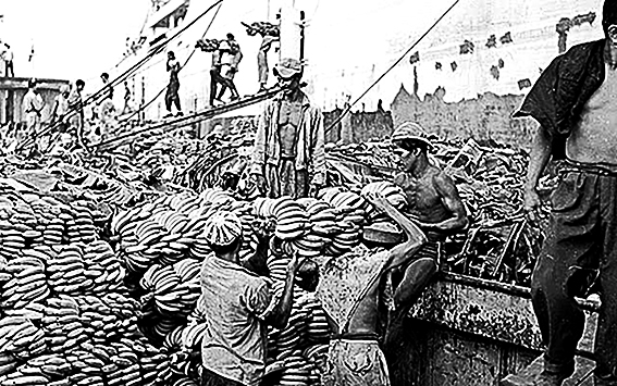 1-banana-massacre - Opinion Caribe