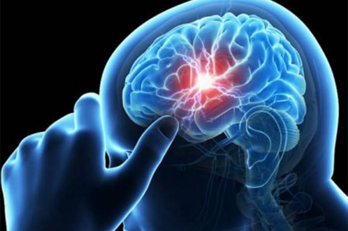 Descubren dónde habita el estrés en el cerebro - Opinion Caribe