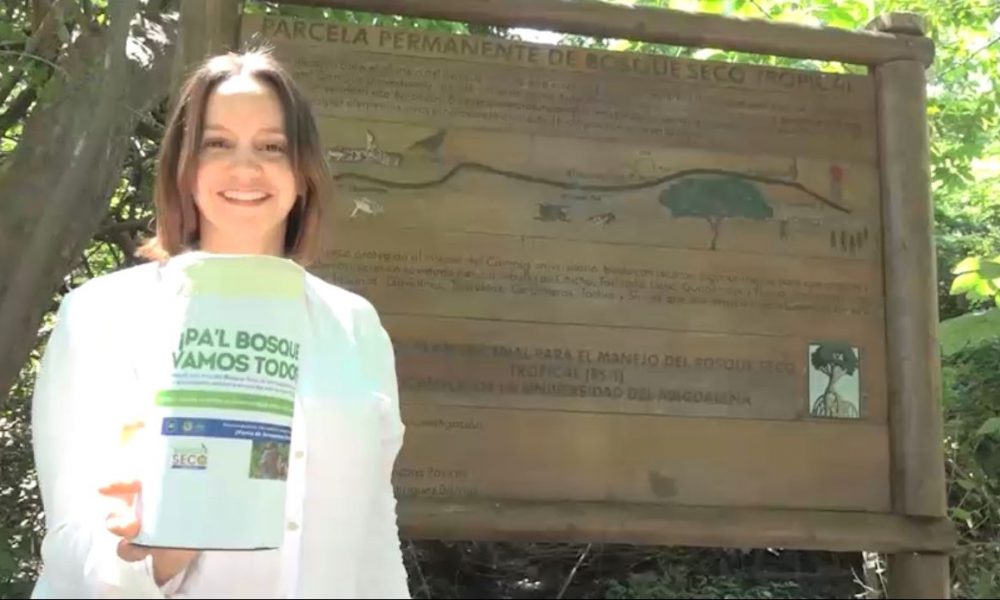 Pal’ Bosque Vamos Todos fue un total éxito - Opinion Caribe