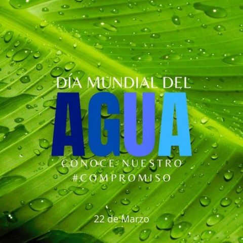 Conoce el compromiso de Daabon con el uso de agua - Opinion Caribe